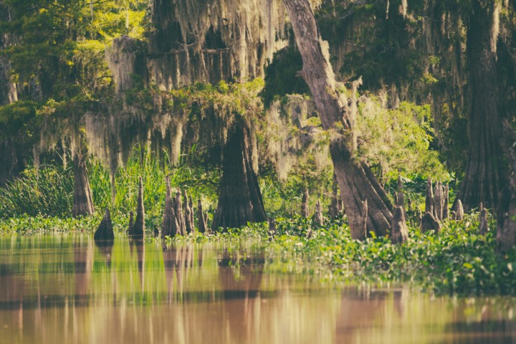 Road trip USA : instantanés #3, le sud - États-Unis - Blog voyage et ...