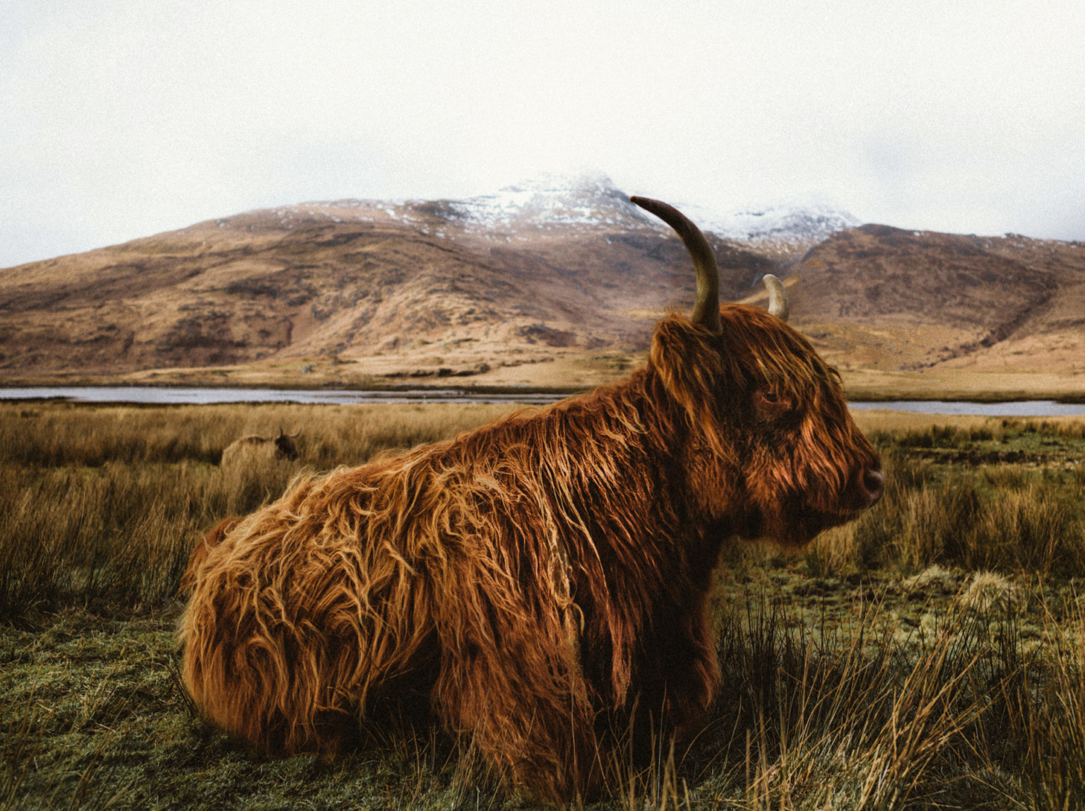 Road trip en Ecosse : itinéraire de 10 jours pour Mull, Skye, les ...